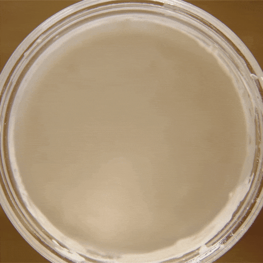 Guide – Sourdough Starter