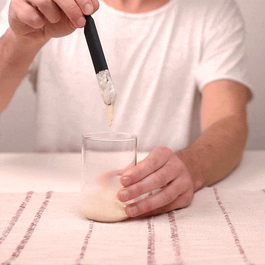 Guide – Sourdough Starter